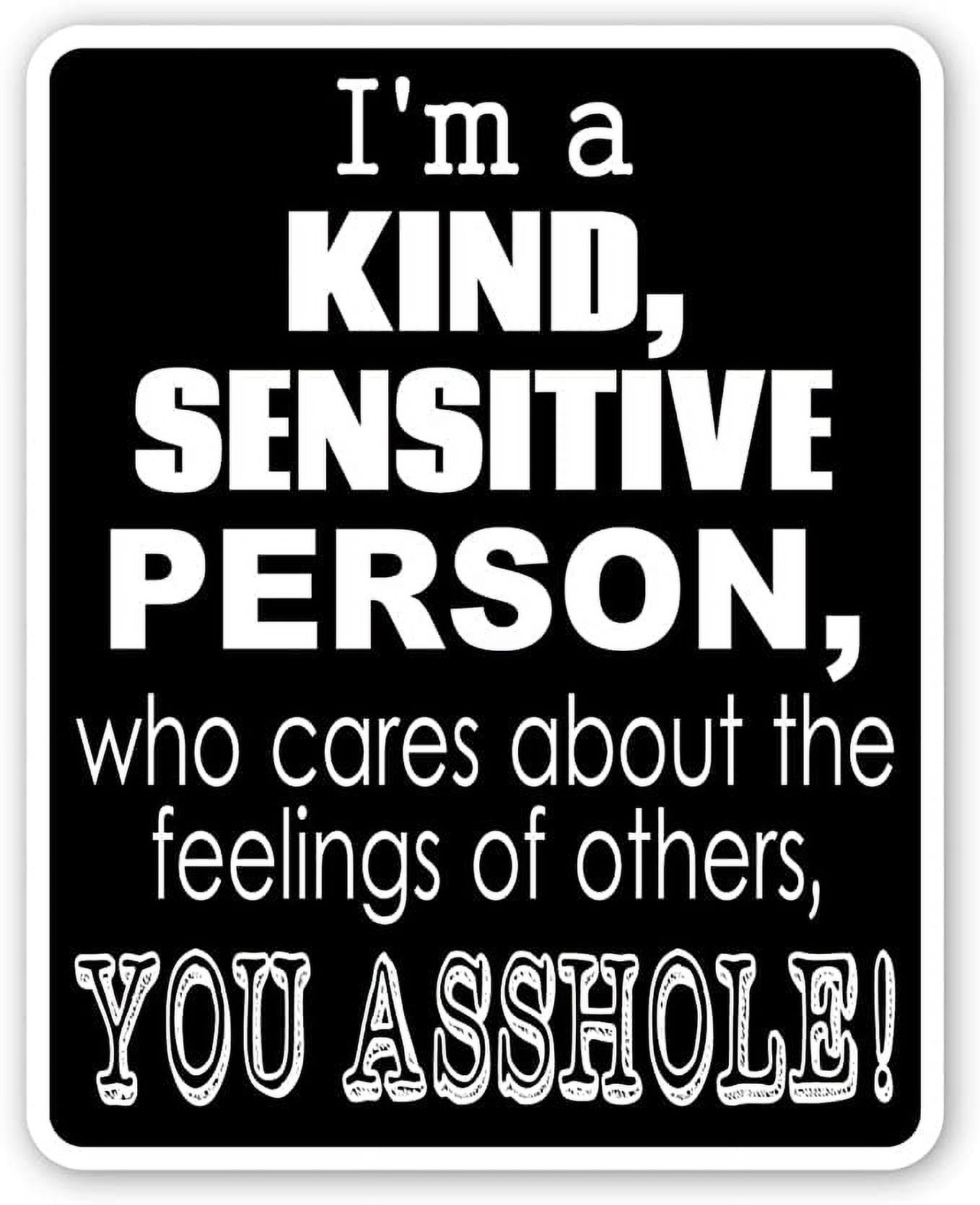 (Pack of 3 Stickers) I’m a Kind, Sensitive Person Funny Message Vinyl ...