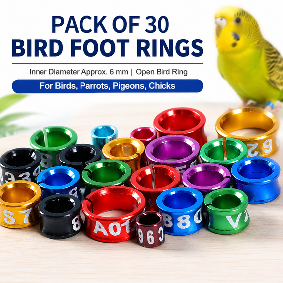 Pack of 30 Bird Foot Rings, Inner Diameter Approx. 6 mm, Open Bird Ring ...