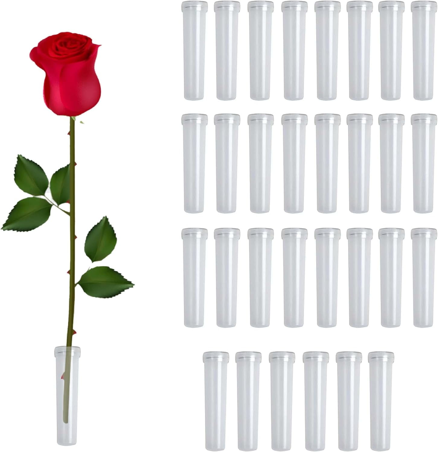 Pack of 30 Flower Tubes - Plastic Tubes for Fresh Flower Preservation ...