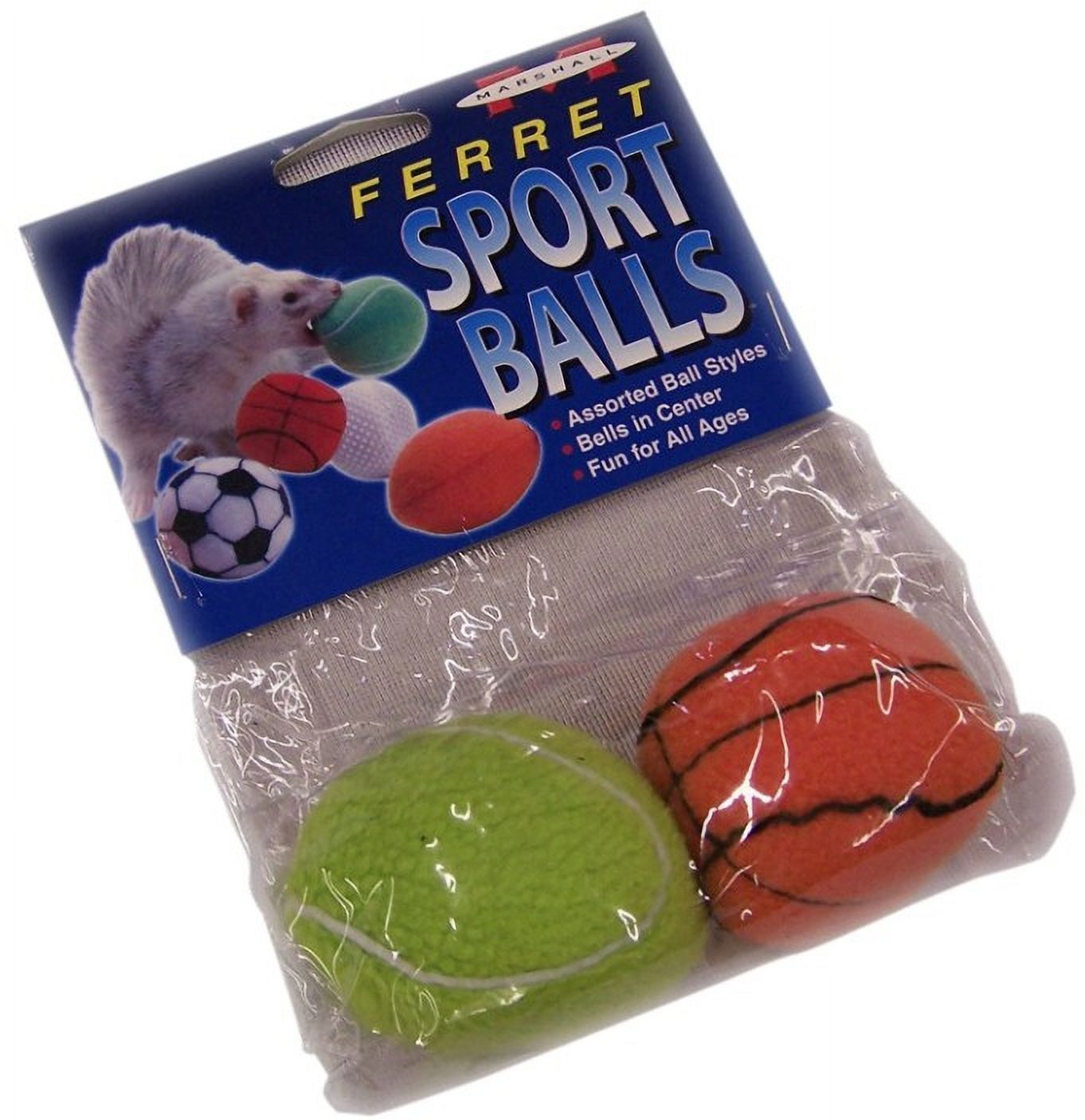 [Pack of 4] Marshall Ferret Sport Balls Assorted Styles 2 count ...