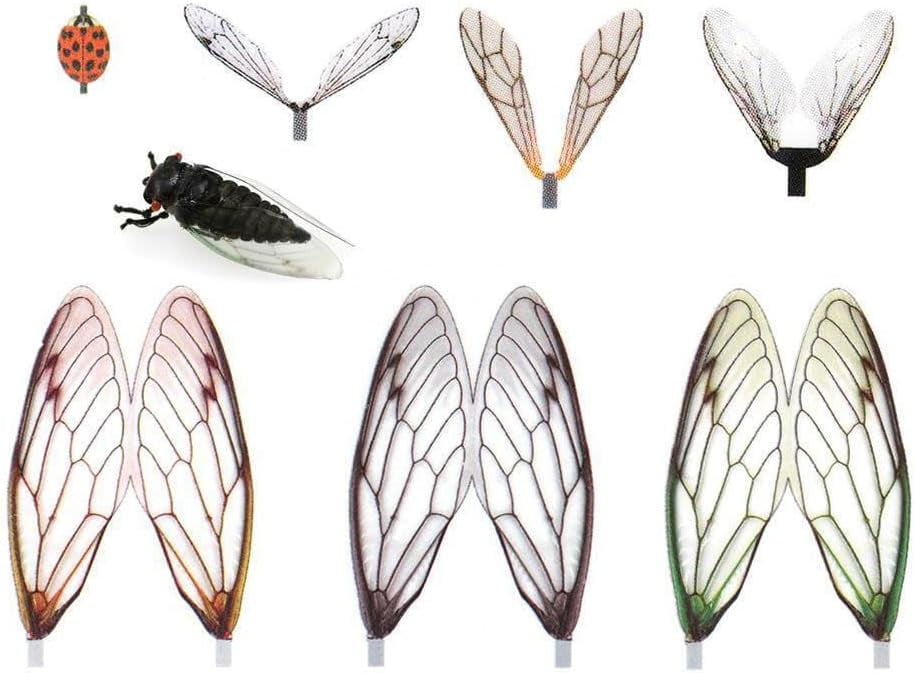 Realistic Fly Tying Wings Pre-Cut Insect Stonefly Wings Fishing Lures ...