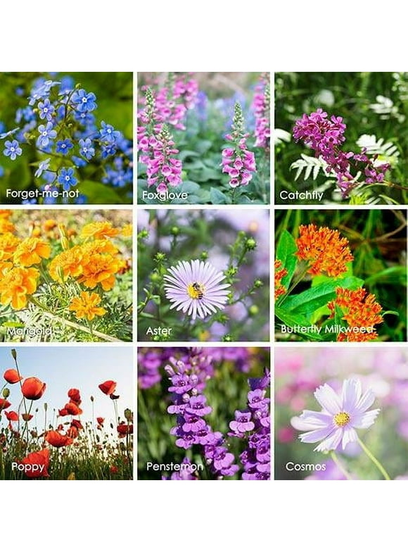 Wildflower Mix Flower Seeds in Seed Gardening - Walmart.com