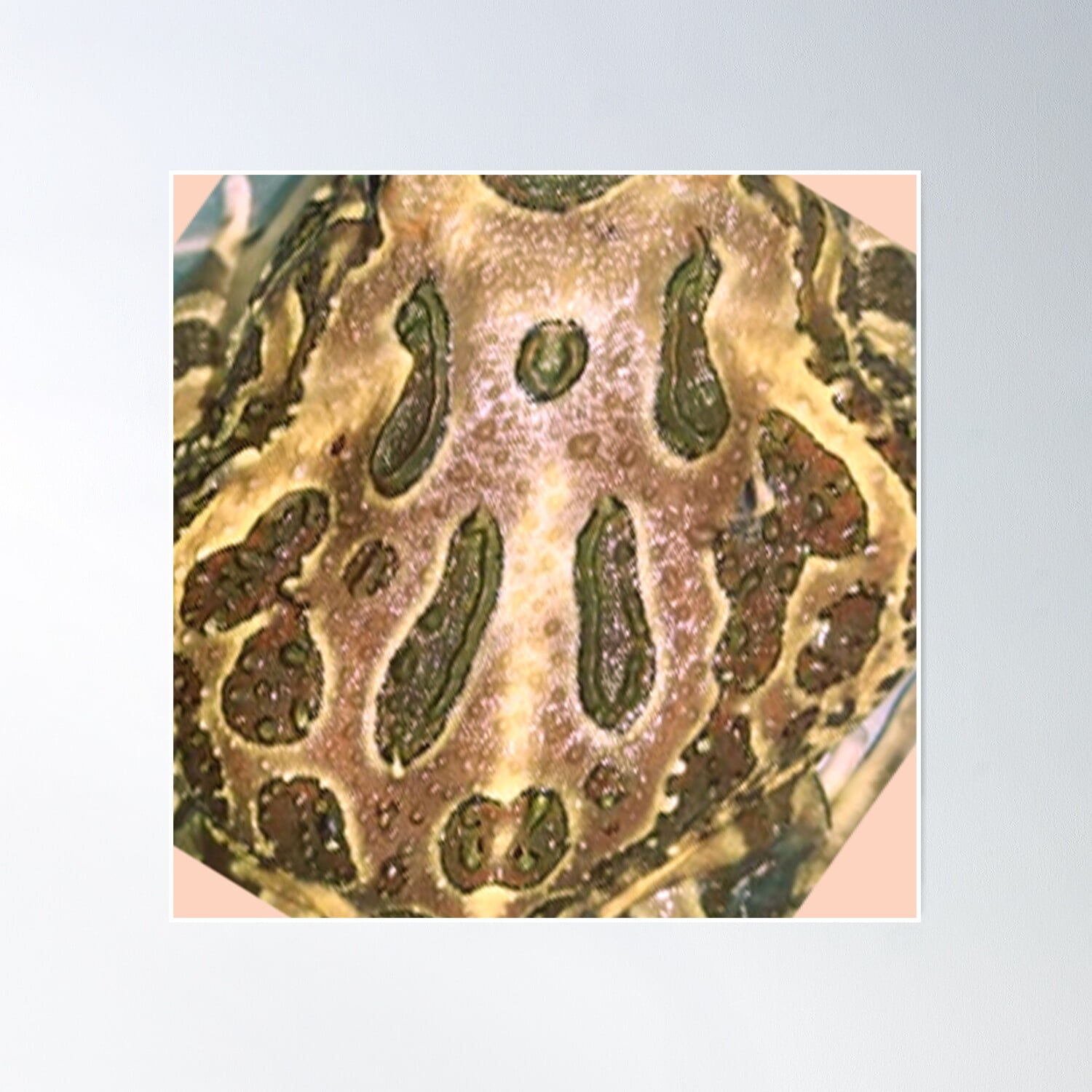 Pacman Frog Textured Skin Modern Aesthetic Poster Wall Art, Modern Wall ...