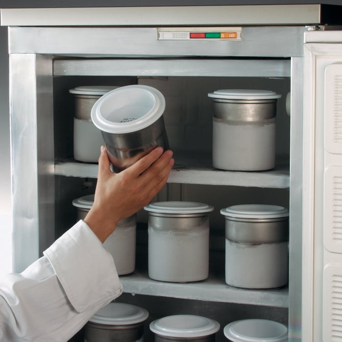 Pacojet Beaker with Lid - Walmart.com