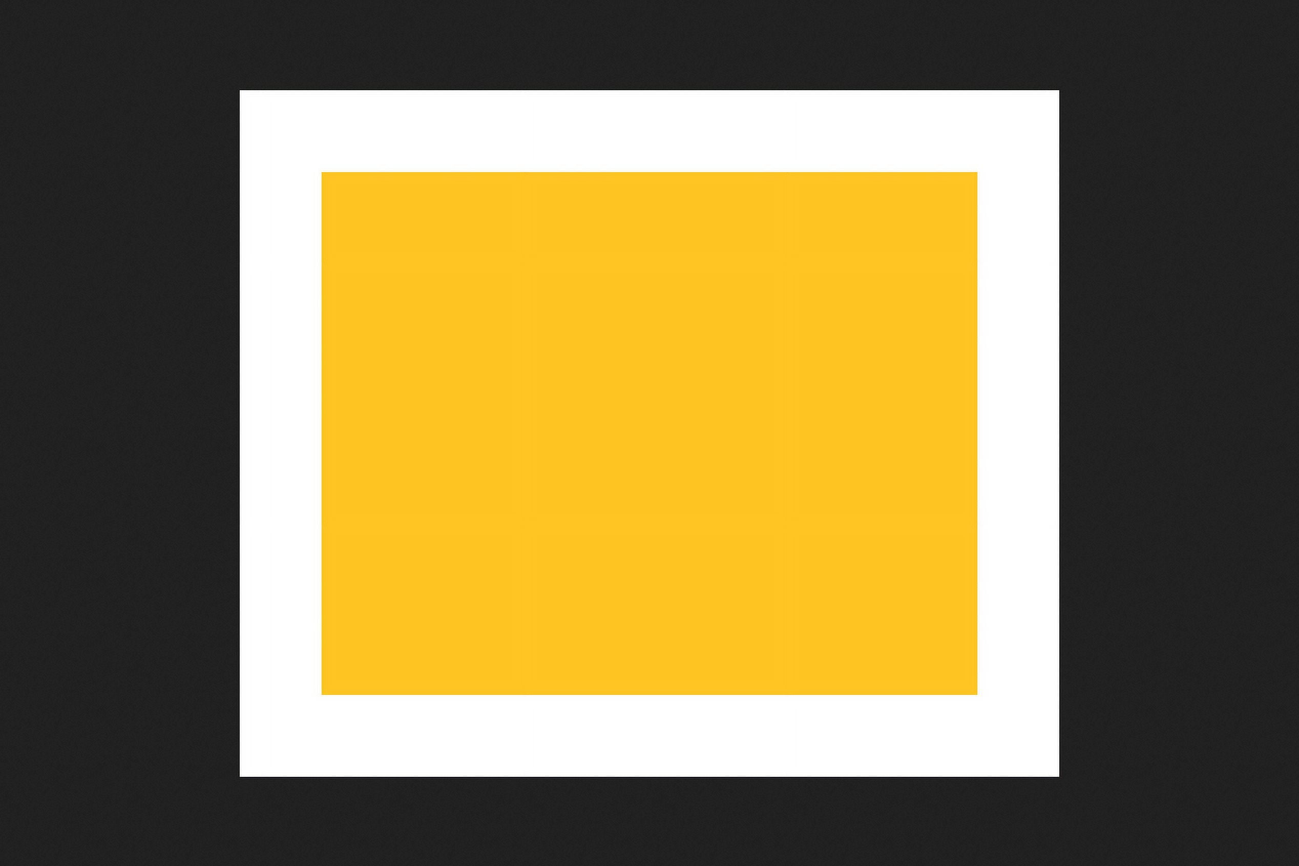 Pacon 22 in. L x 28 in. W Orange Poster Board - Walmart.com