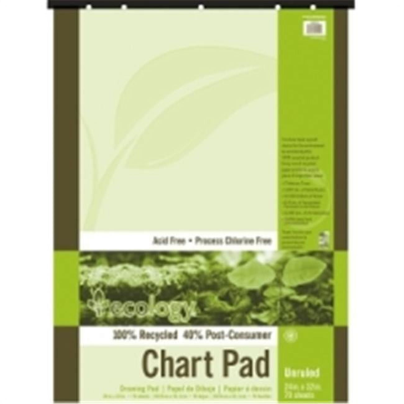 Pacon Ecololgy Unruled Recycled Chart Pads - Walmart.com
