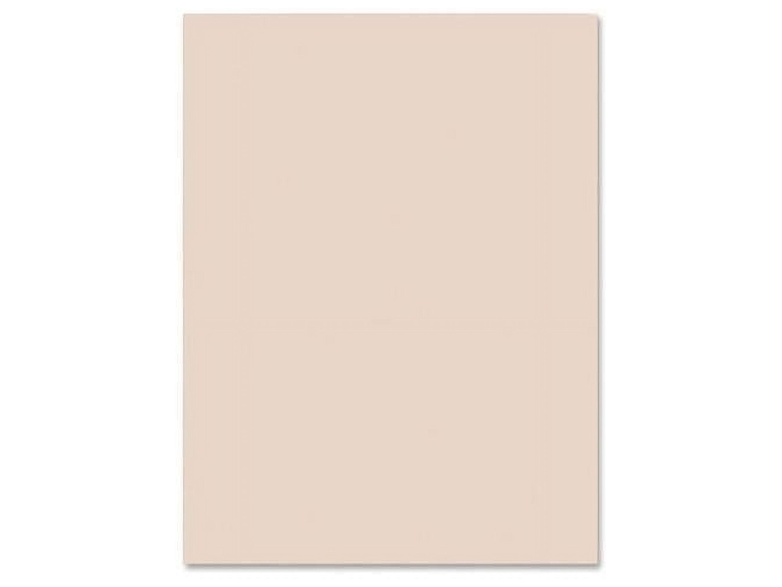 Pacon Heavyweight Tagboard, 18 x 24 Inches, 11 Pt, Manila, Pack of 100 ...