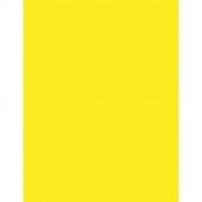 Pacon Neon Bond Paper 24 lb. 100 Sheets 8-1/2"x11" Neon Red 104315 ...