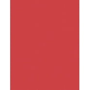 LUXPaper 8.5 x 14 Paper, 80lb Holiday Red, 1000/Pack - Walmart.com