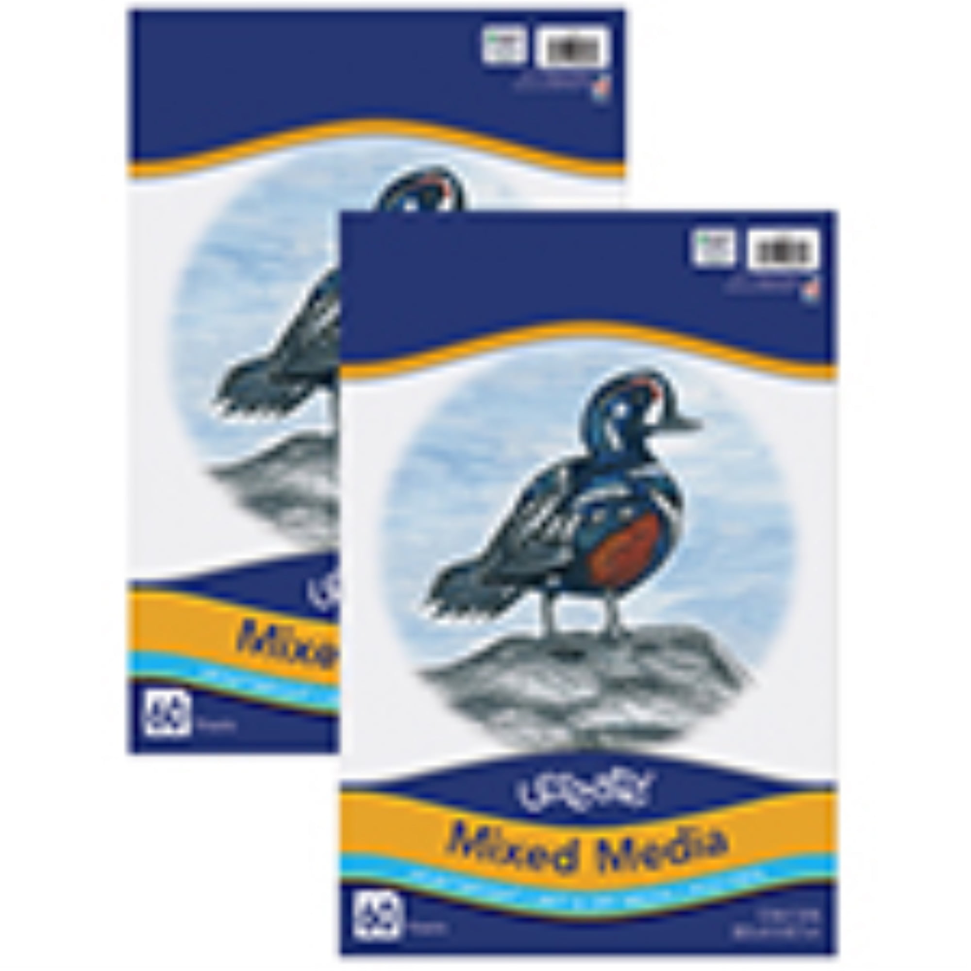 Pacon PAC4843-2 Art 1st Multi Media Art Paper, 12 x 18 in. - Pack of 2 ...