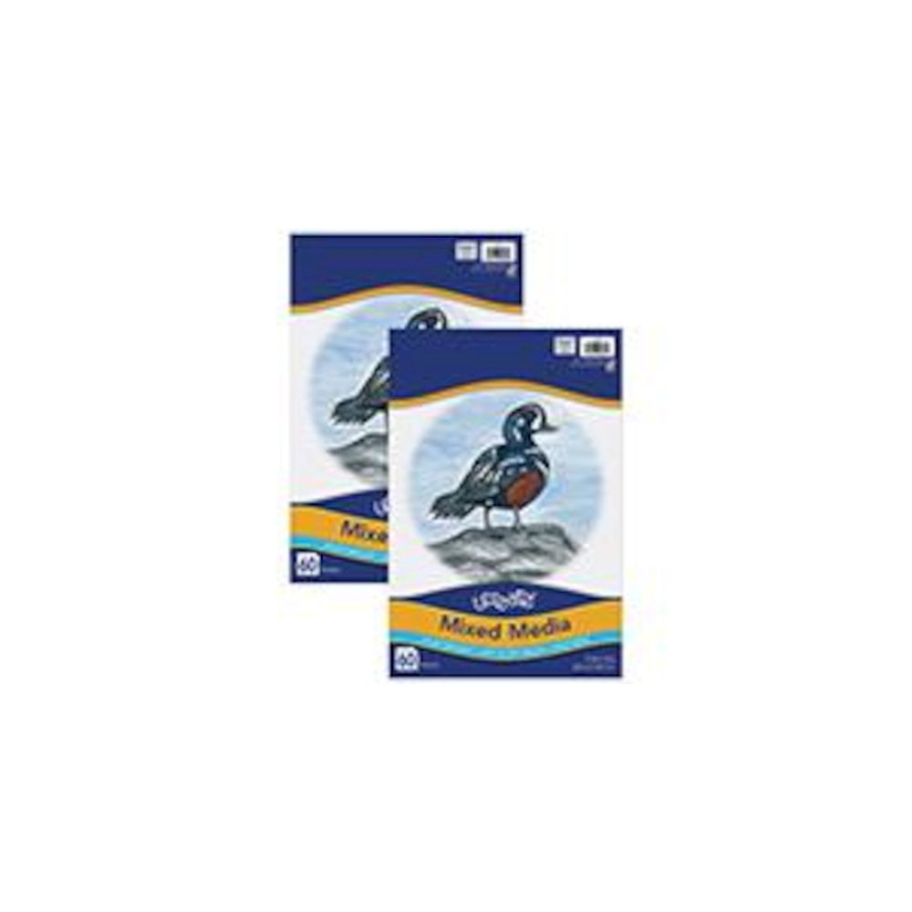 Pacon PAC4843-2 Art 1st Multi Media Art Paper, 12 x 18 in. - Pack of 2 ...