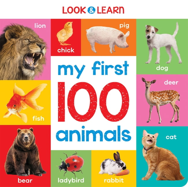 Padded Board Books My First 100 Animals, (Board Book) - Walmart.com