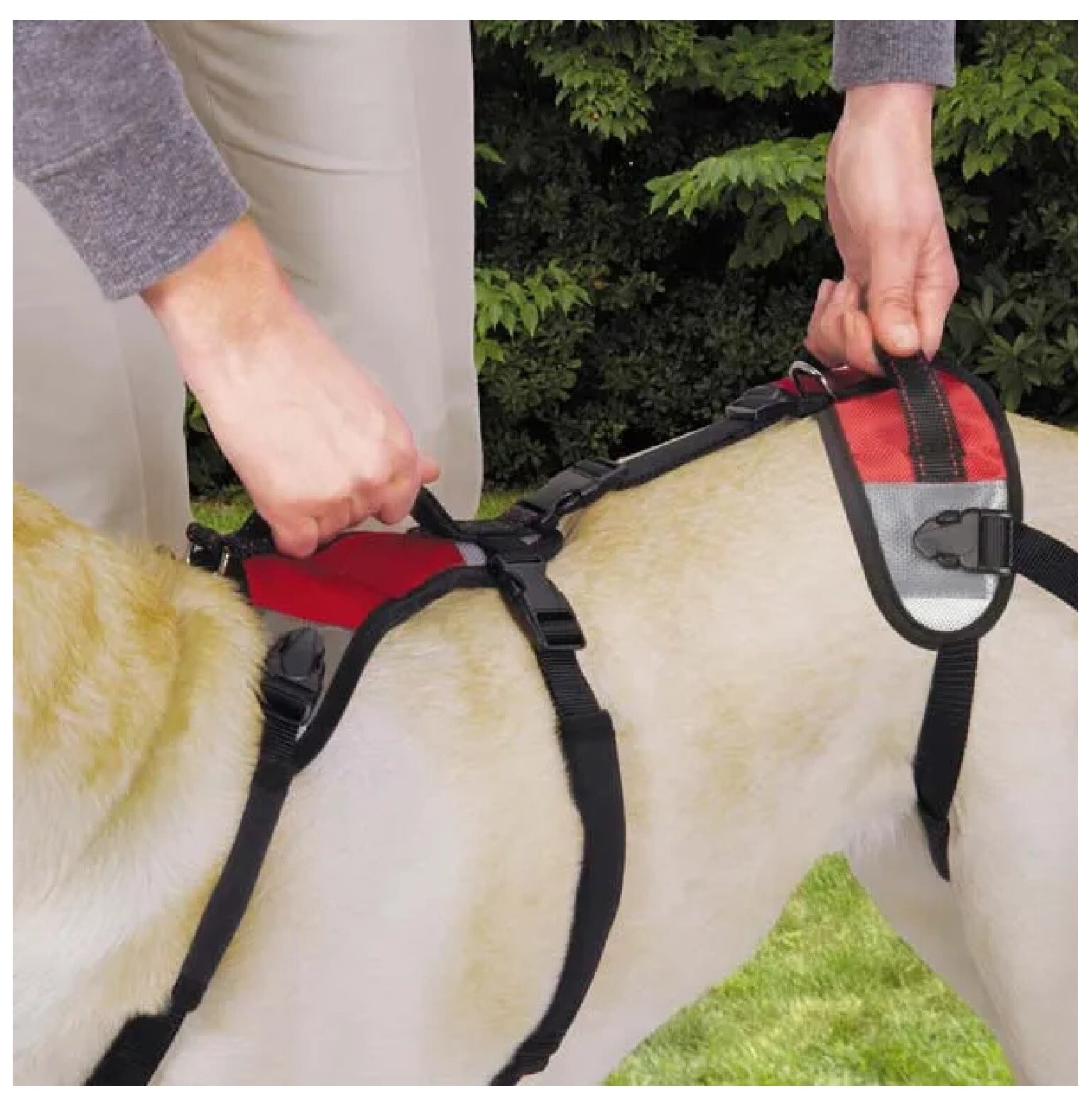 Padded Easy Lift Support Assist Dog Harness Lead Choose from 4 Sizes or ...