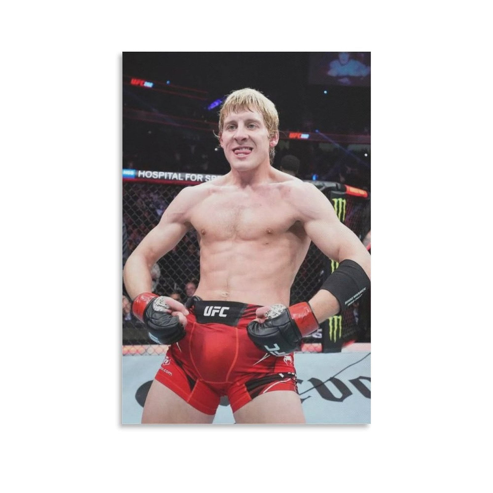 Paddy Pimblett Canvas Poster Room Aesthetic Poster Print Art Wall ...