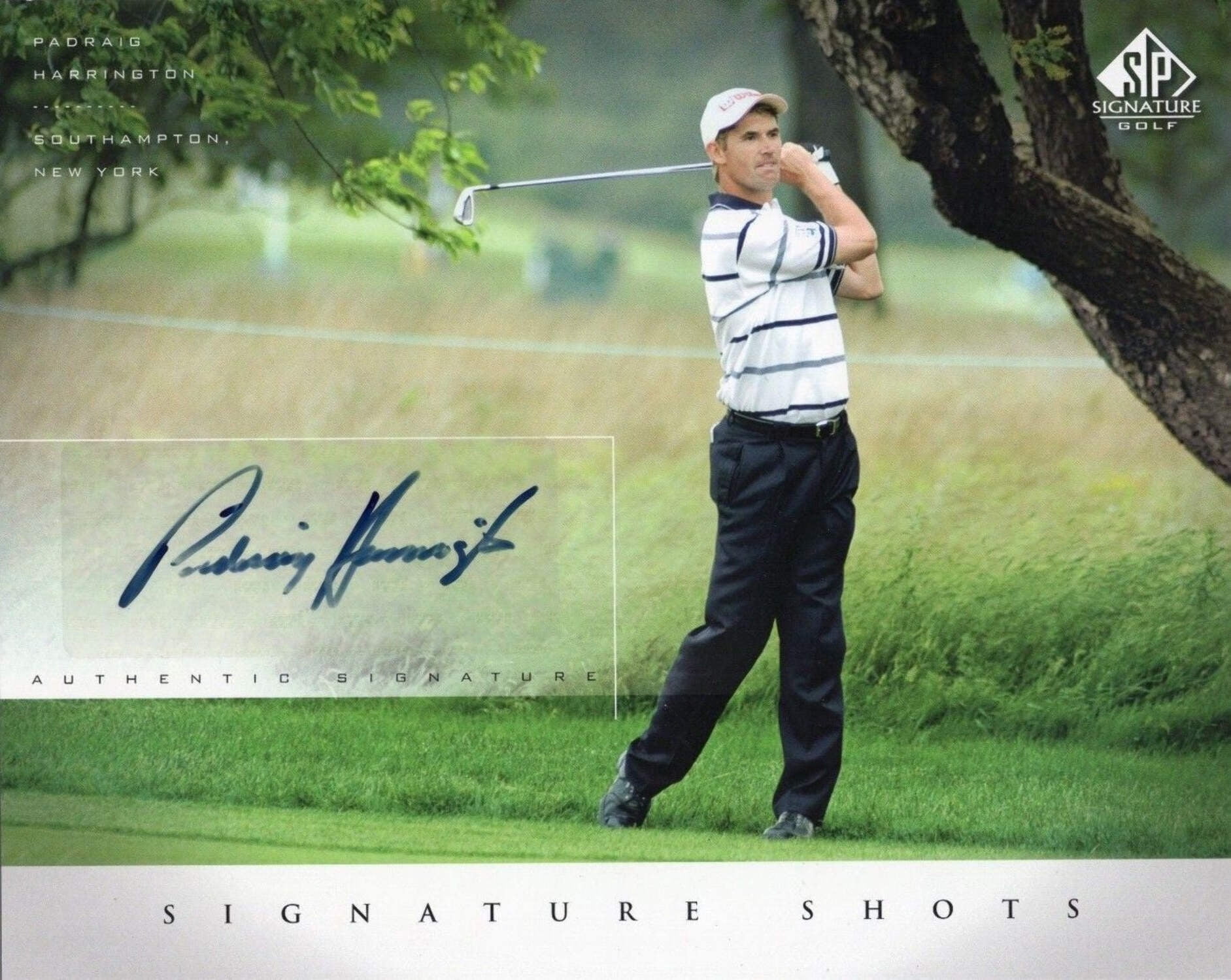 Padraig Harrington certified autograph 2004 SP Signature Golf 8x10 ...