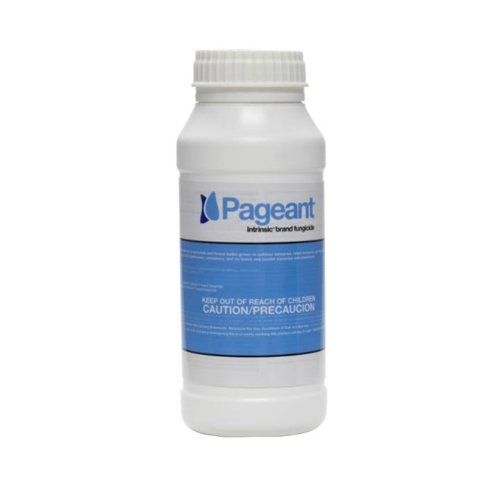 Pageant Intrinsic Fungicide 1 lb - Walmart.com