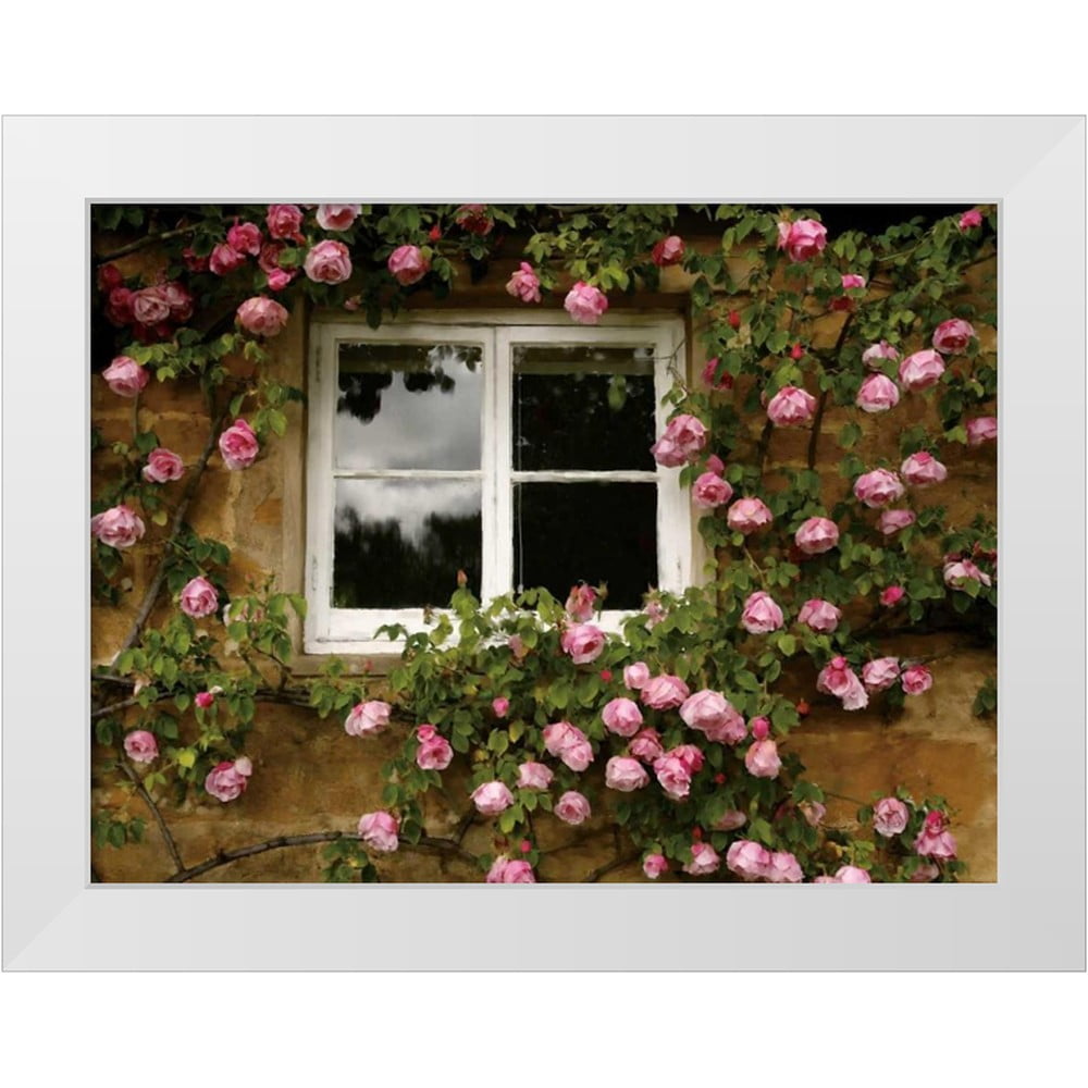 Pahl, Janel 18x15 White Modern Wood Framed Museum Art Print Titled ...