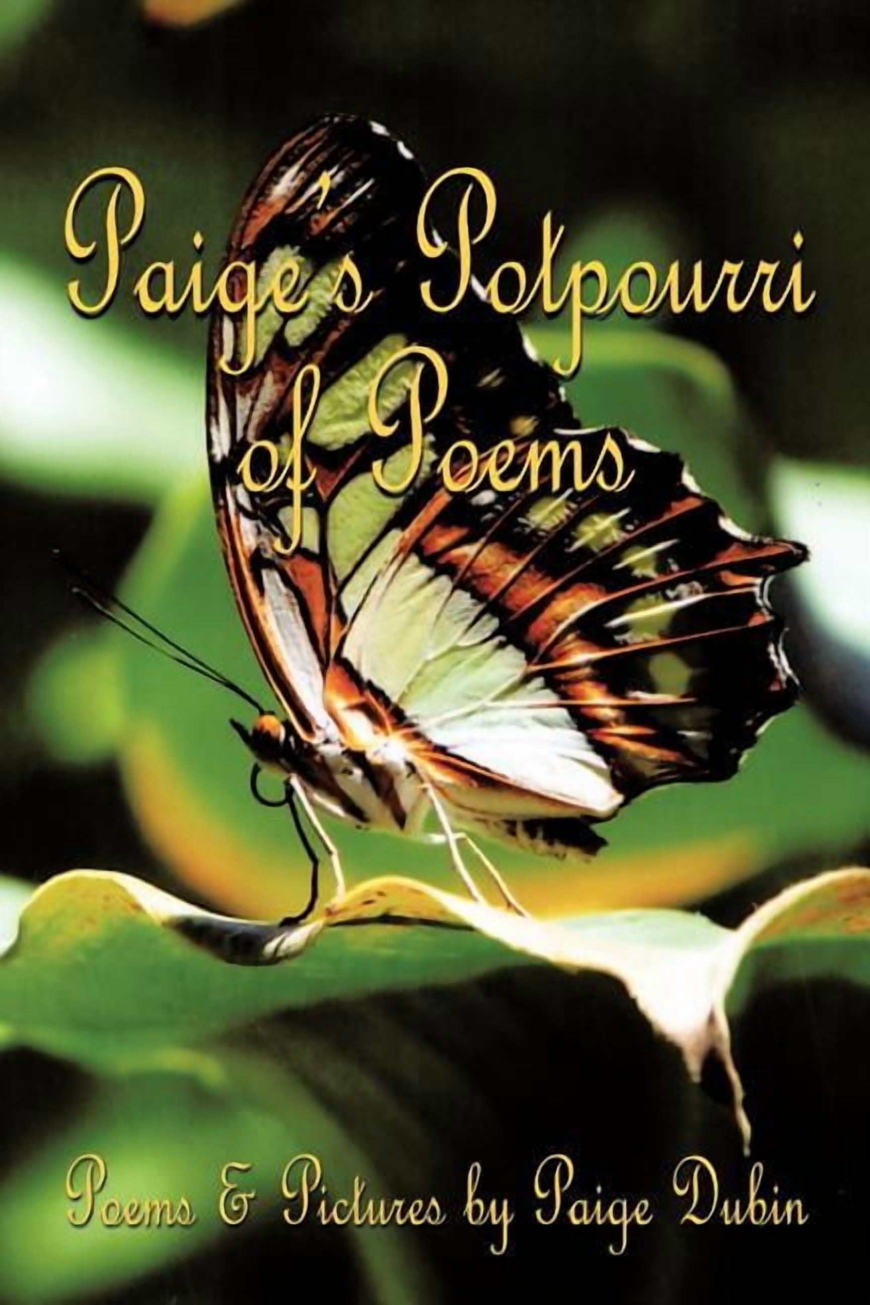 Paige Dubin