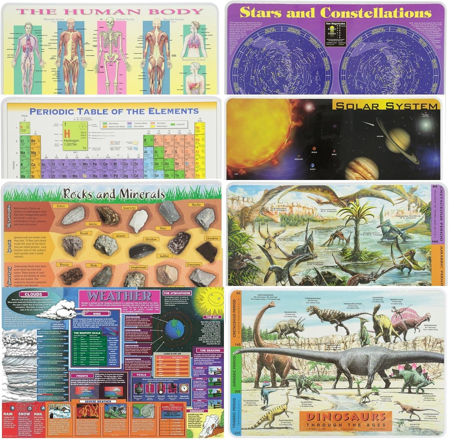 Painless Learning Educational Placemats for Kids Human Body, Periodic ...