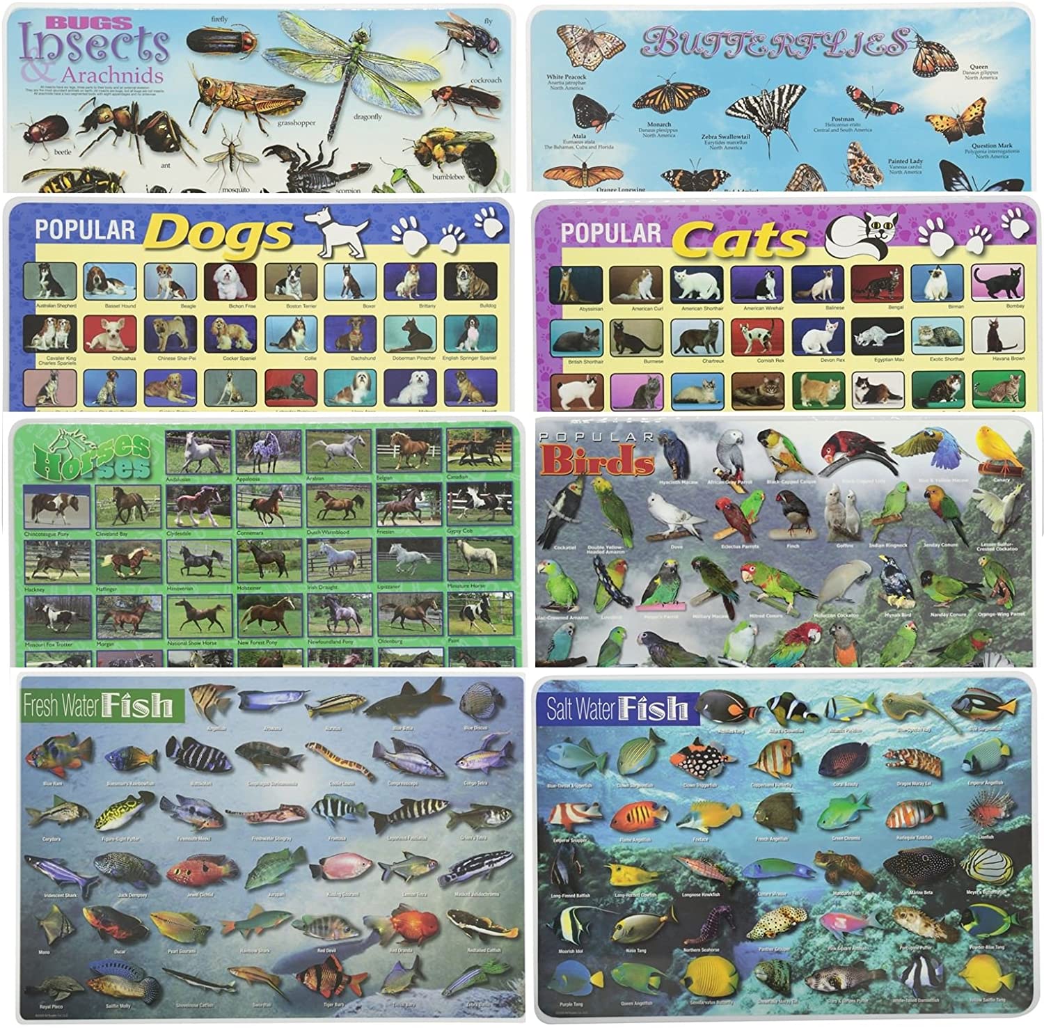 Painless Learning Educational Placemats for Kids Popular Cats and Dogs ...