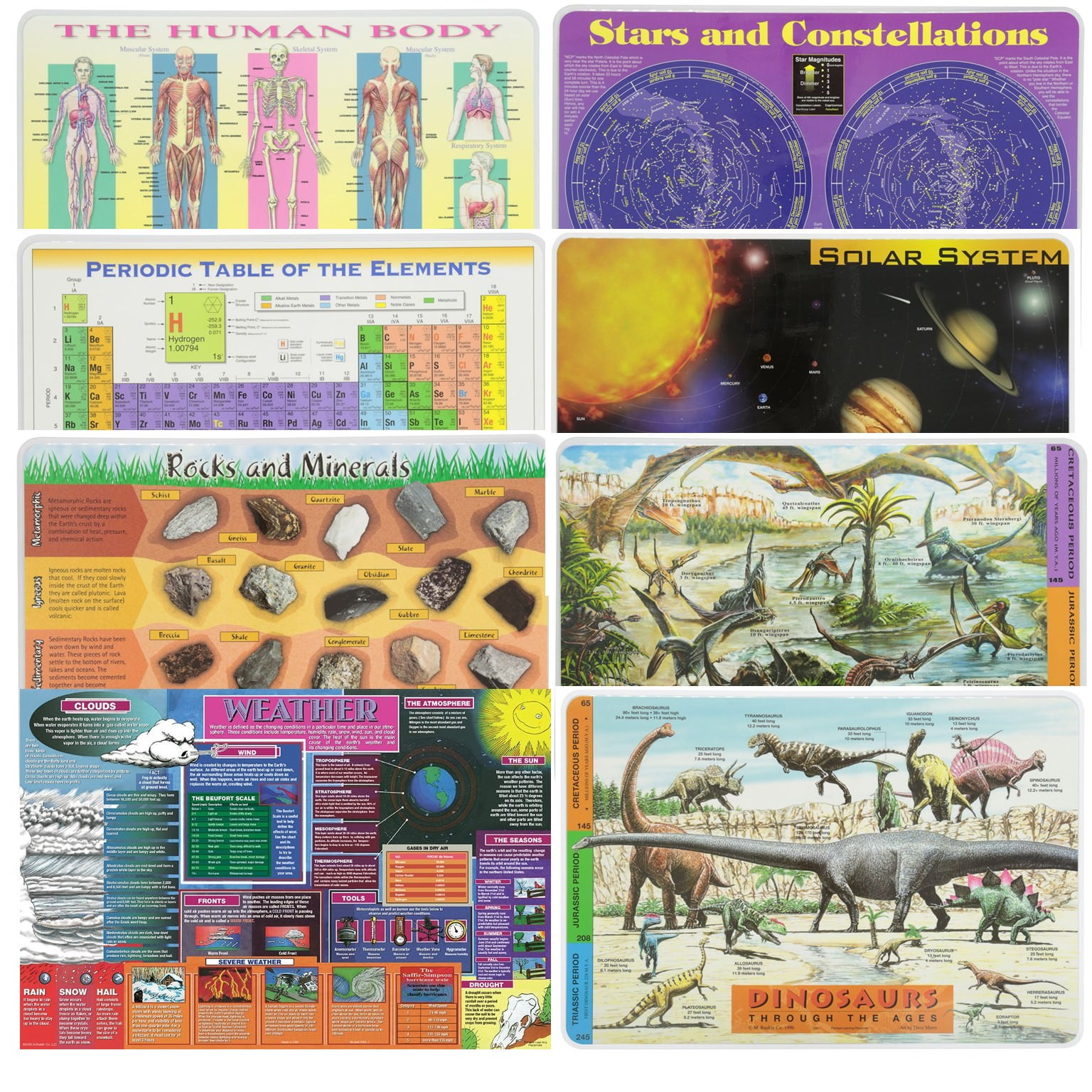 Painless Learning Educational Placemats for Kids Human Body, Periodic ...