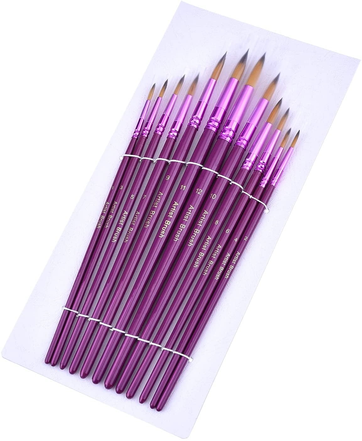 Paint Brushes for Acrylic Painting - 12PCS Round Pointed Tip Watercolor ...