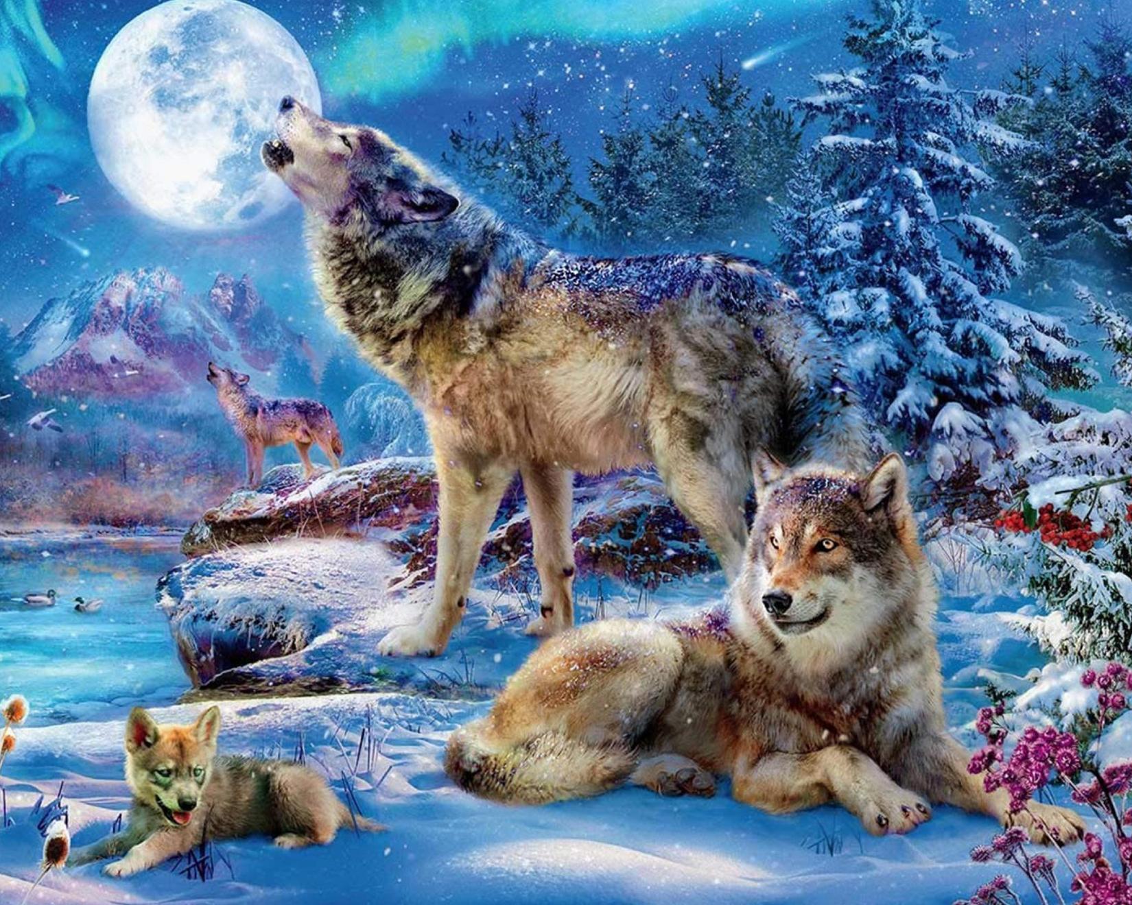 Paint By Numbers | Wolves Moon - Walmart.com