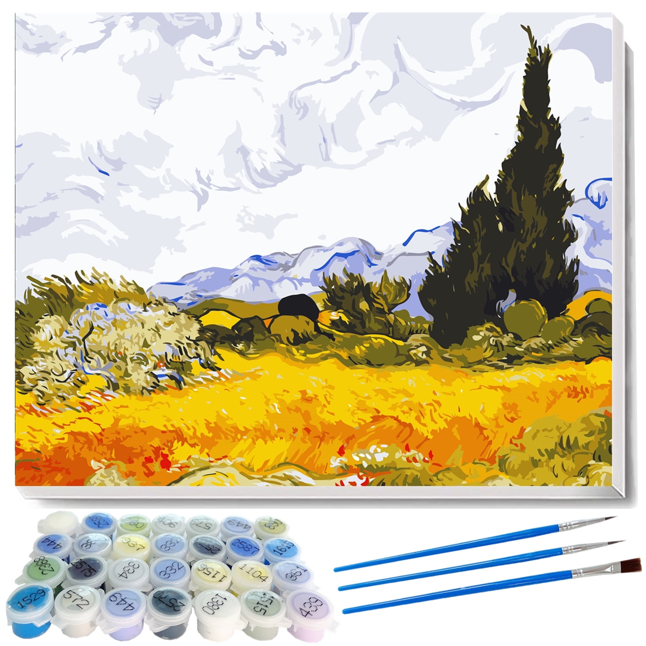 Paint by Number Kits, Vincent Van Gogh Masterpiece Series Oil Painting ...