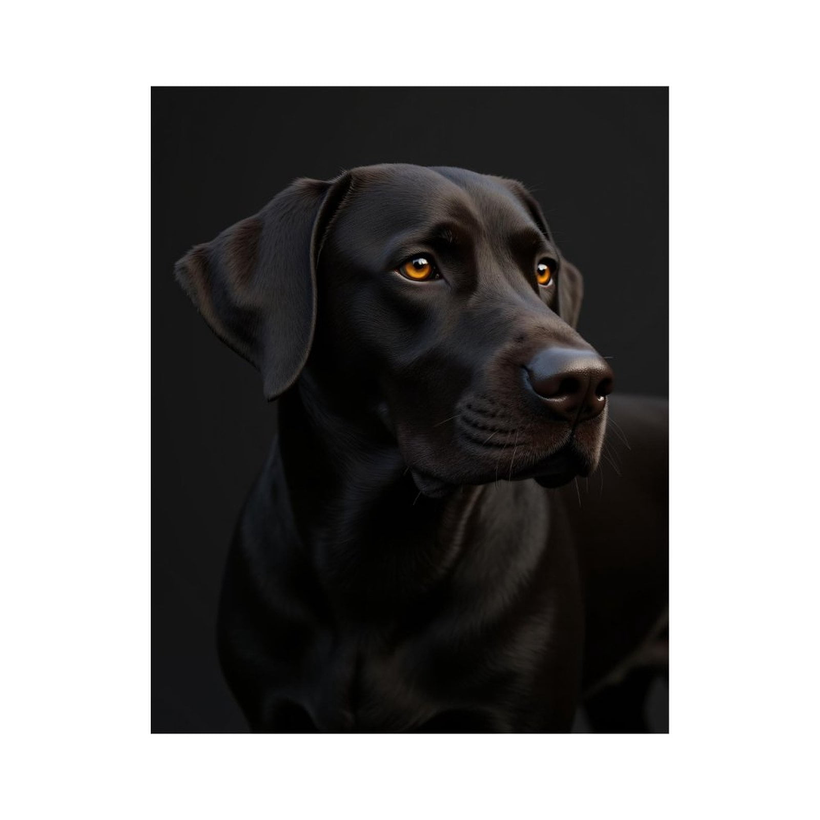 Paint By Numbers Kit for Adults Beginner - DIY Black Labrador Portrait ...