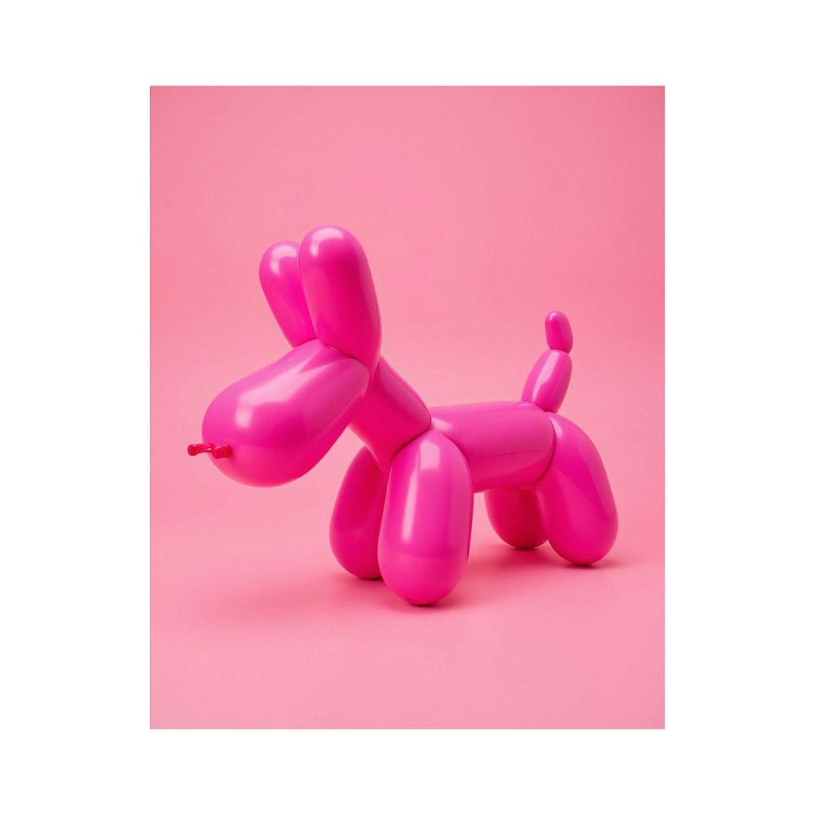 Paint By Numbers Kit for Adults Beginner - DIY Bright Pink Balloon ...