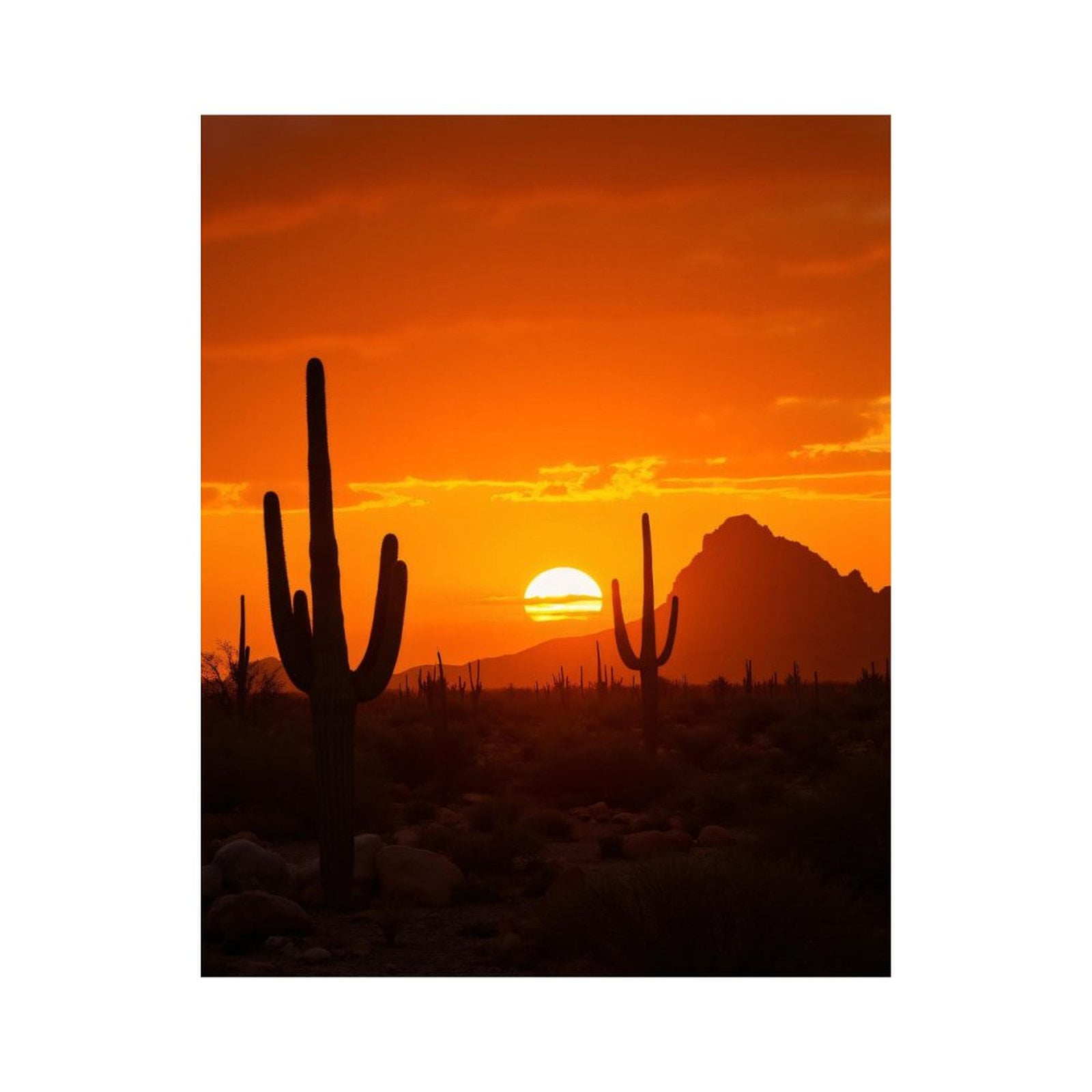 Paint By Numbers Kit for Adults Beginner - DIY Frameless Desert Sunset ...