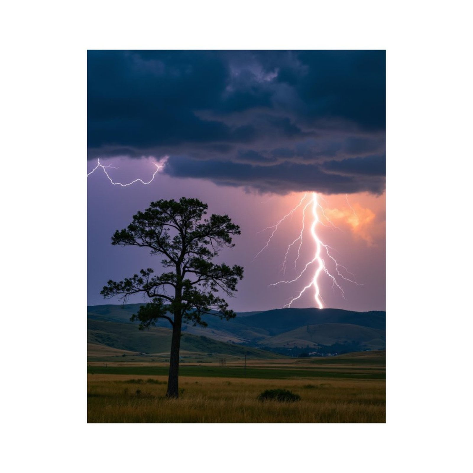 Paint By Numbers Kit for Adults Beginner - DIY Frameless Tree Lightning ...