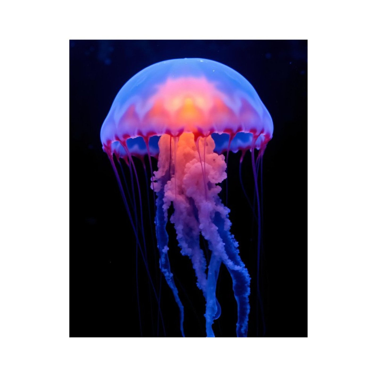 Paint By Numbers Kit for Adults Beginner - DIY Glowing Jellyfish ...