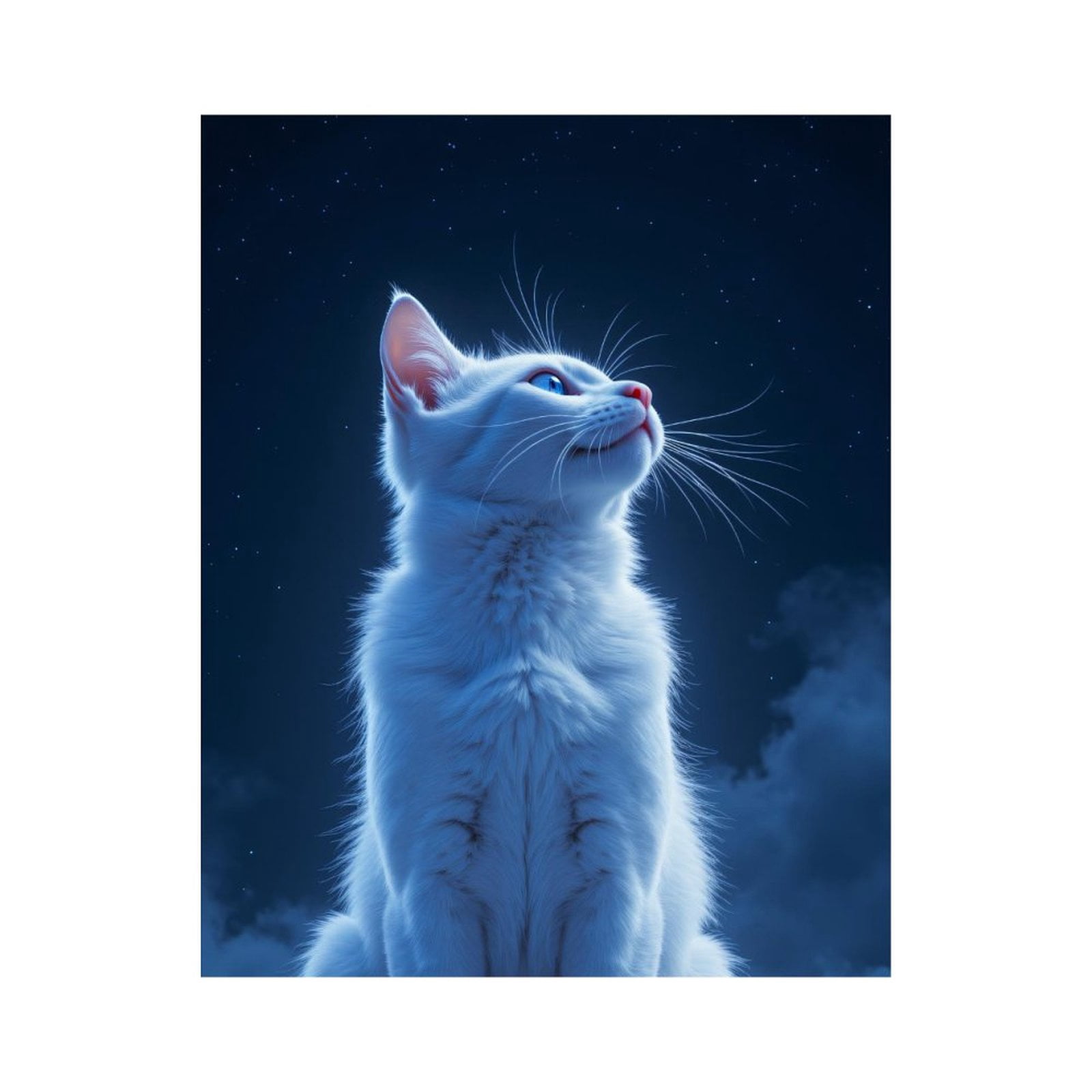 Paint By Numbers Kit for Adults Beginner - White Cat Night Sky Stars ...
