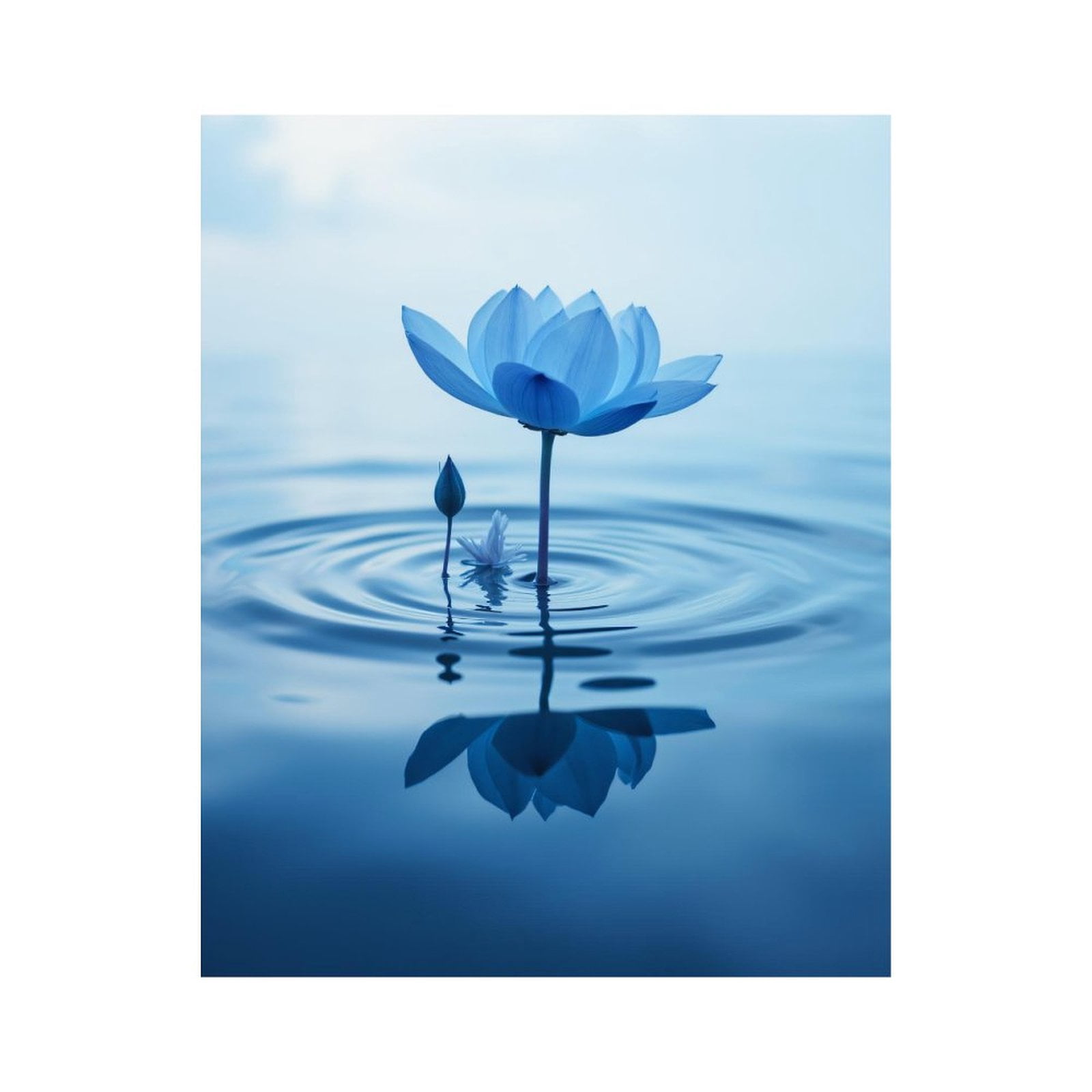 Paint by Numbers Kit for Adults, Blue Lotus Reflections Serene Water ...