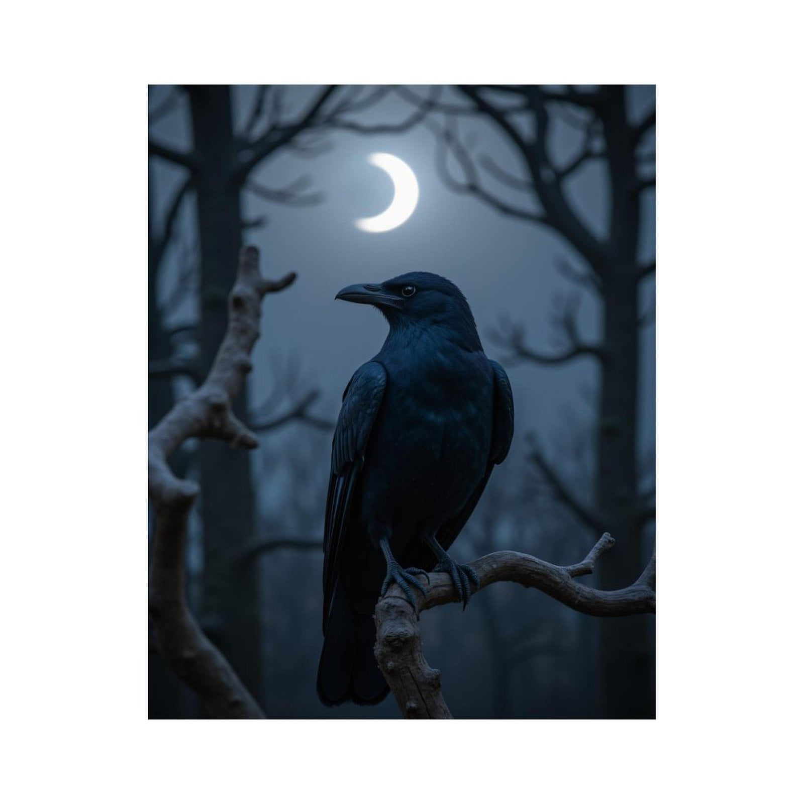 Paint by Numbers Kit for Adults, Crow Silent Night Crescent Moon Paint ...
