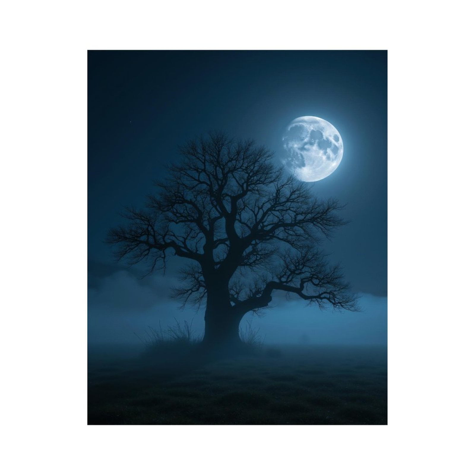 Paint by Numbers Kit for Adults, Moonlit Tree Silhouette Night Sky ...