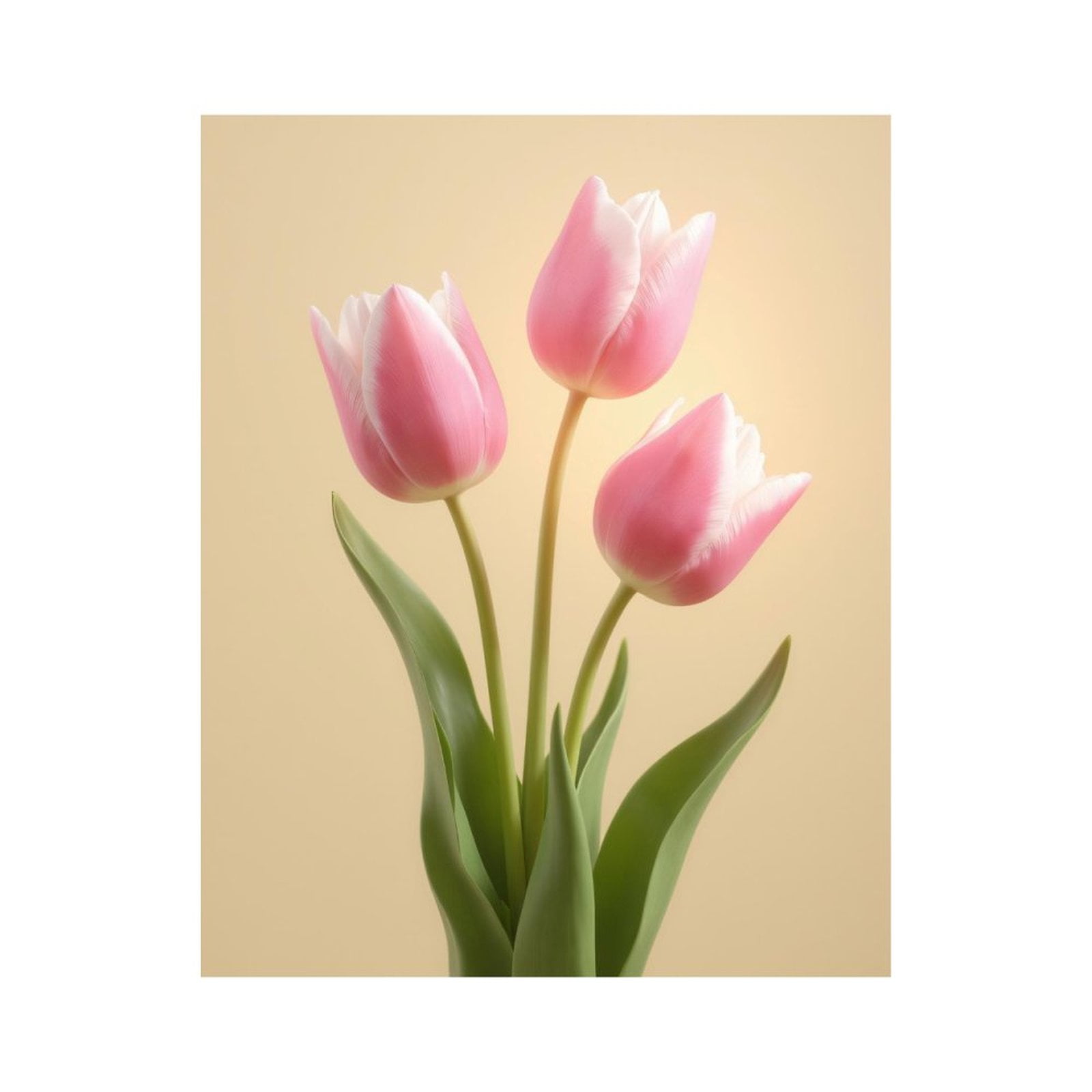 Paint by Numbers Kit for Adults, Pink Tulips Against Soft Background ...
