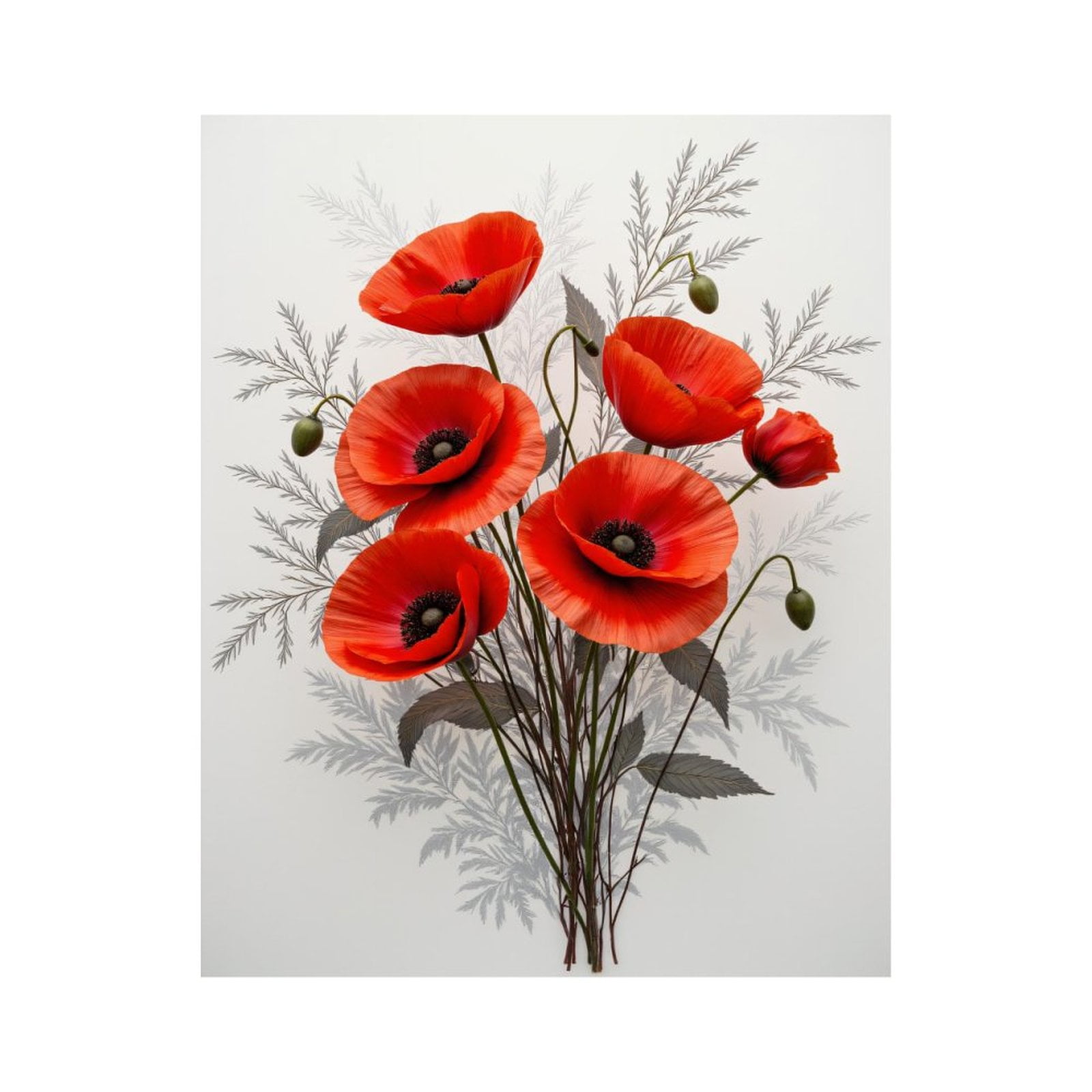 Paint by Numbers Kit for Adults, Red Poppies Botanical Illustration ...