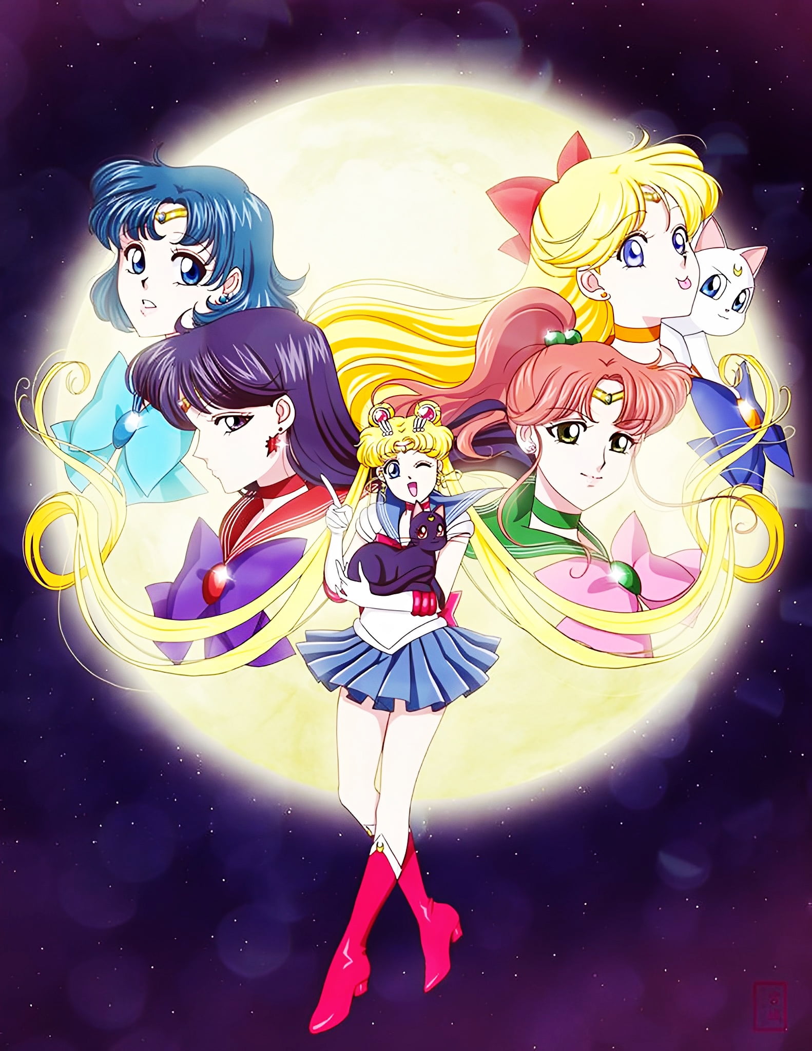 Paint by Numbers Kit for Adults -Sailor Moon (31) - Beginner DIY Color ...