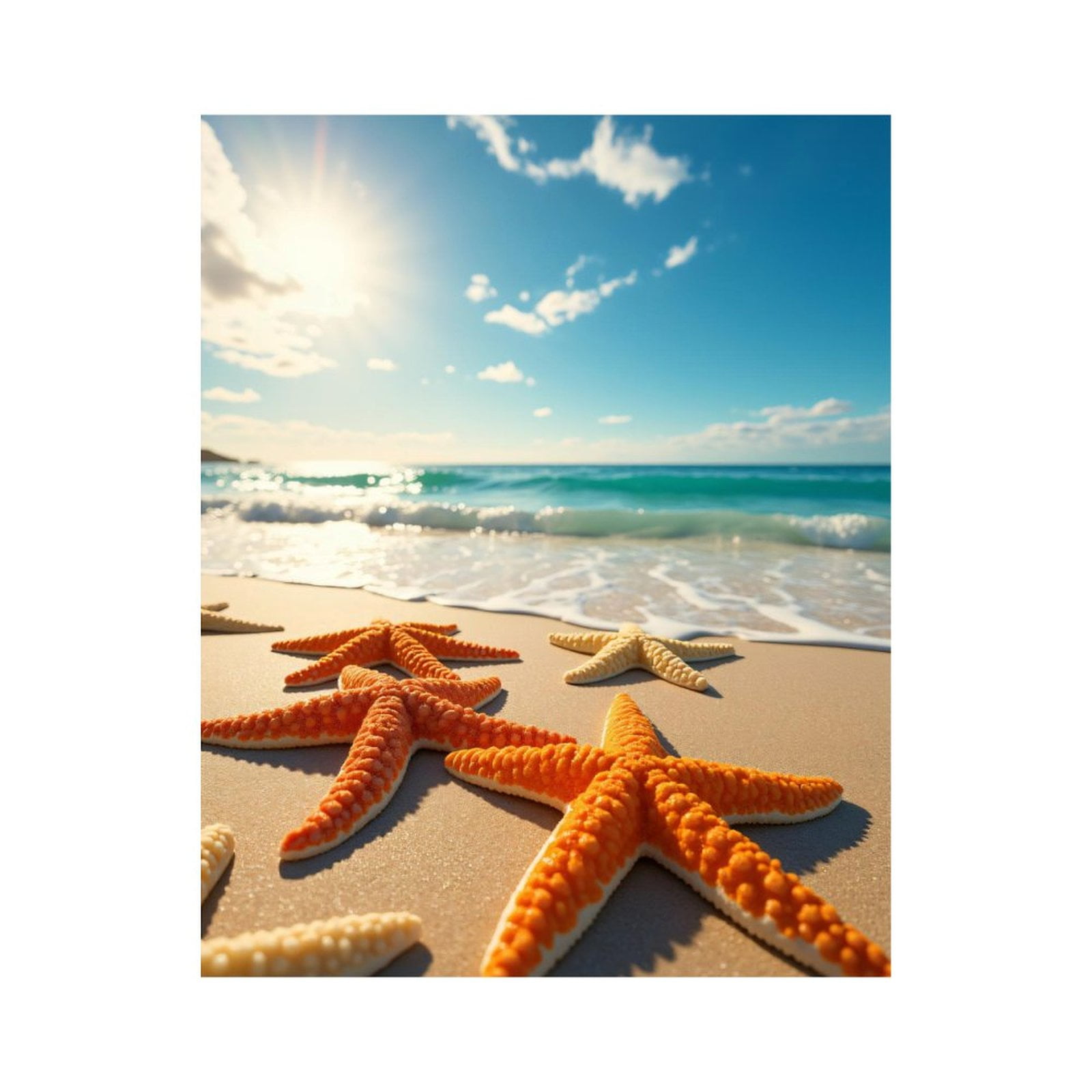 Paint by Numbers Kit for Adults, Starfish Beach Ocean Serenity Paint by ...