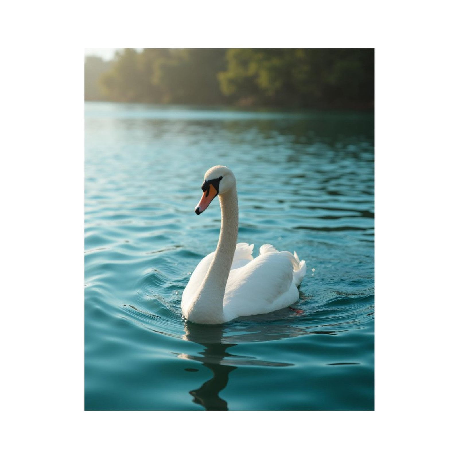 Paint by Numbers Kit for Adults, Swan Gliding Serene Lake Water Beauty ...
