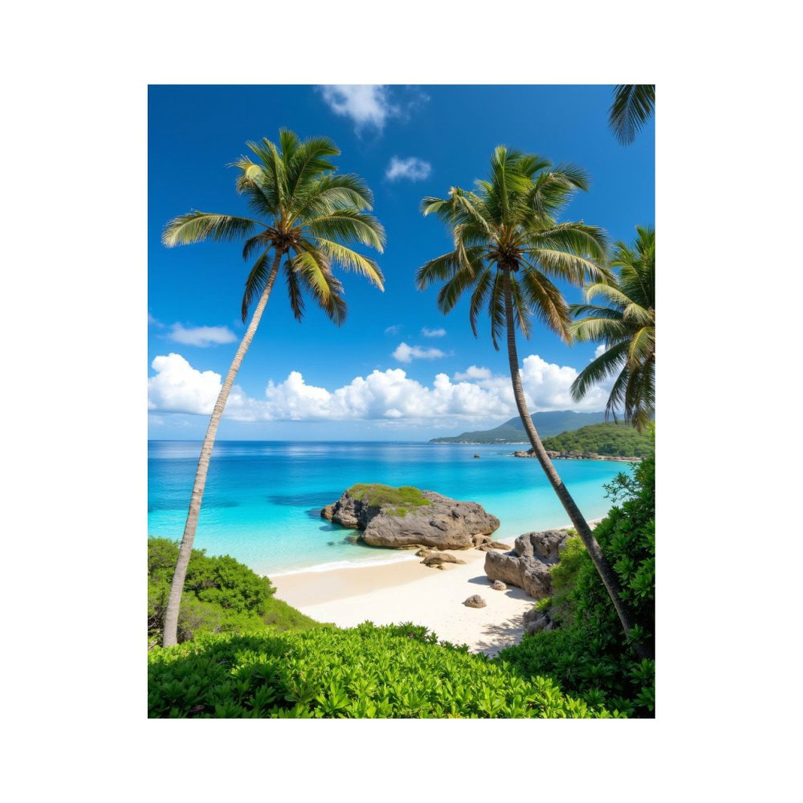 Paint by Numbers Kit for Adults, Tropical Beach Palm Trees Ocean View ...