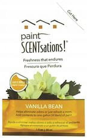 Paint Scentsations Paint Fragrance Additive, Vanilla, 1 0Z Packet ...