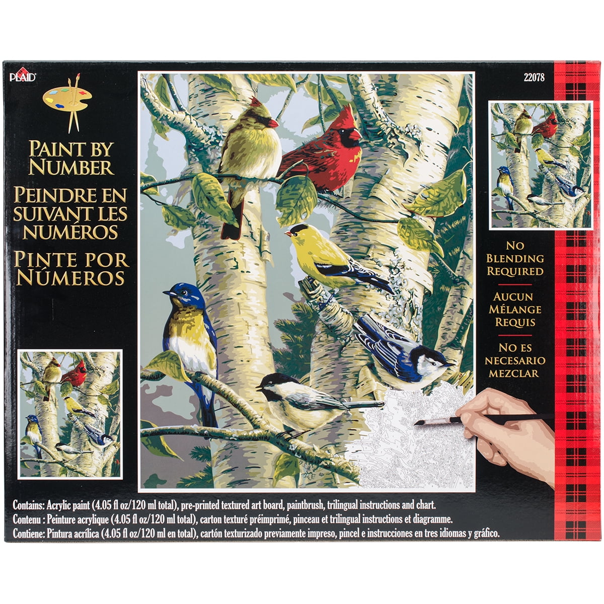 Plaid Paint by Number Kit, Song Birds, 16" x 20" - Walmart.com
