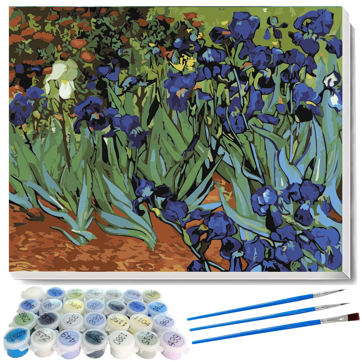 Paint by Number Kits, Vincent Van Gogh Masterpiece Series Oil Painting ...