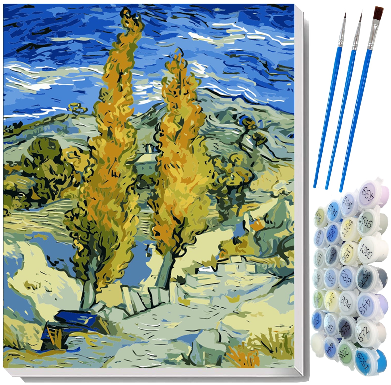 Paint by Number Kits, Vincent Van Gogh Masterpiece Series Oil Painting ...