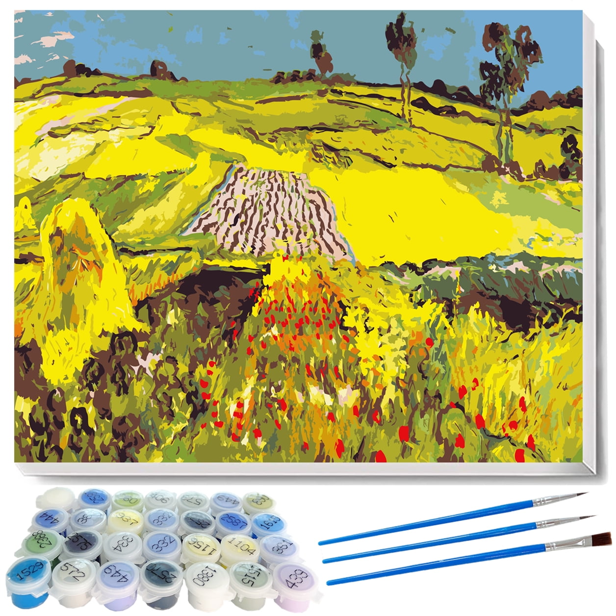 Paint by Number Kits, Vincent Van Gogh Masterpiece Series Oil Painting ...