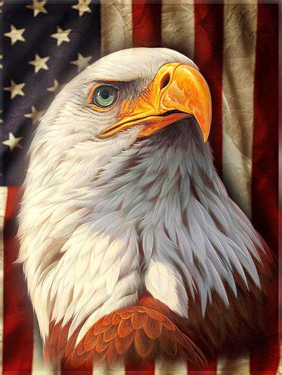 Paint by Numbers Kit for Adults - Flag Eagle (2) - Beginner Oil ...