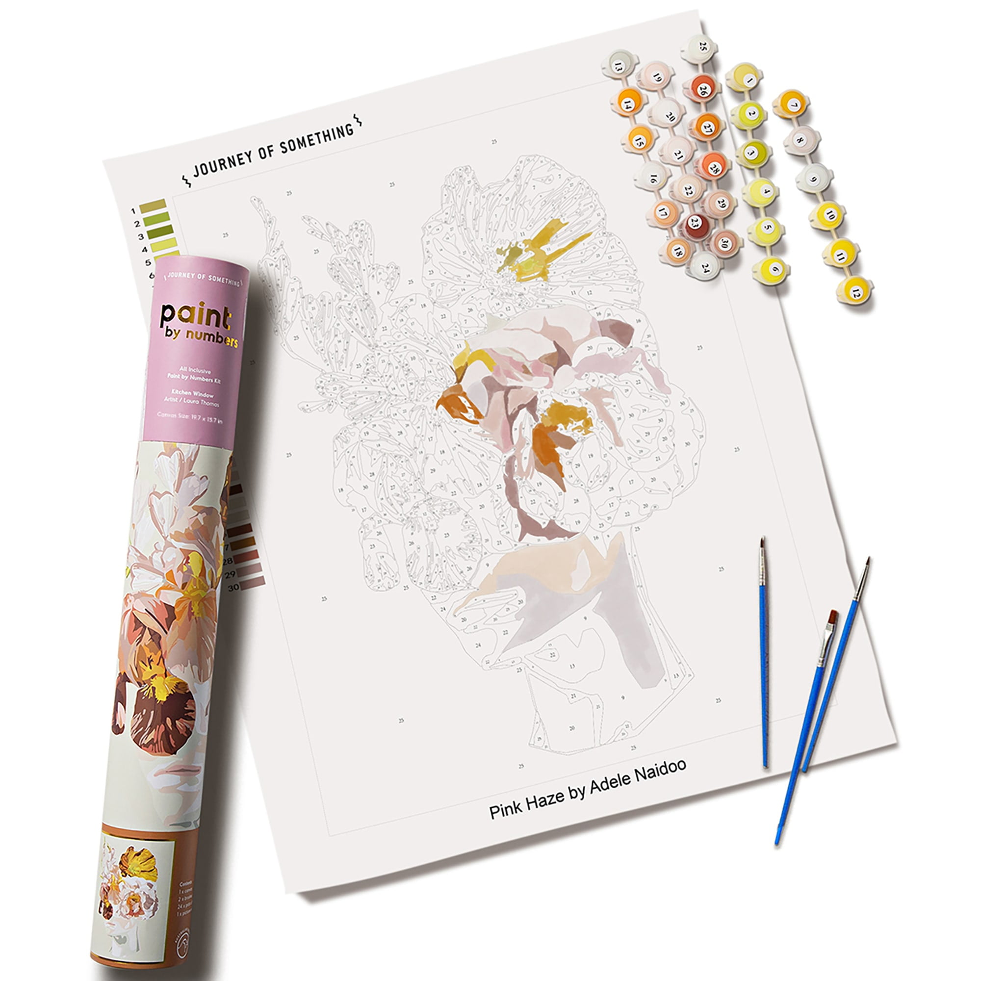 Journey of Something: Paint By Numbers - Pink Haze - DIY Adult Painting ...